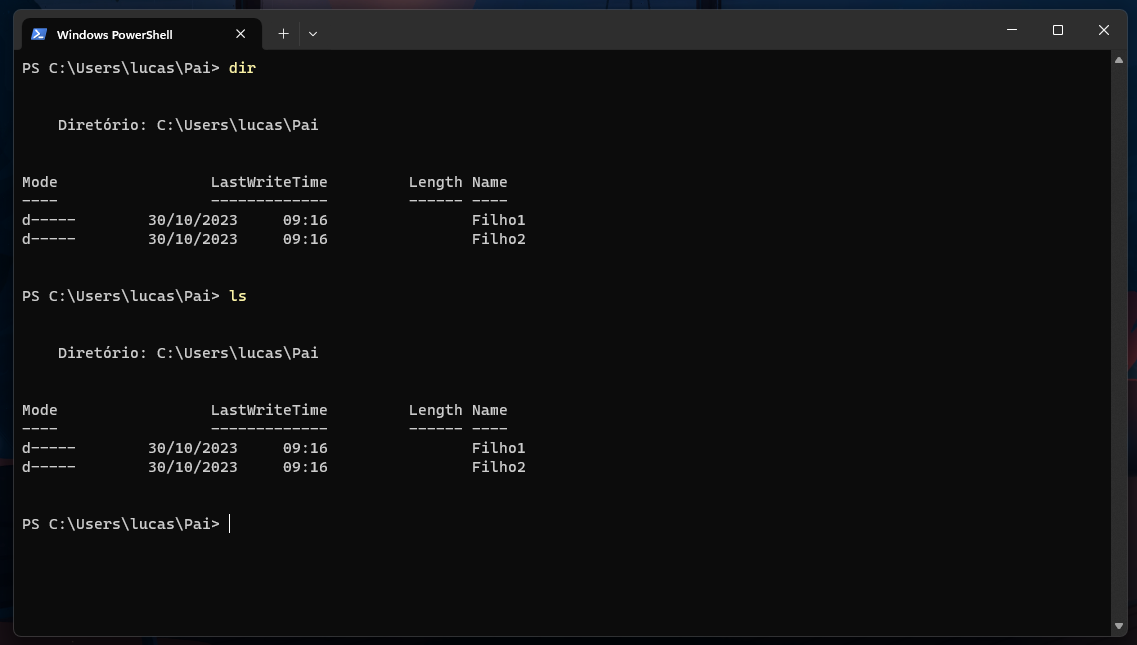 Iniciando com o Terminal do Windows