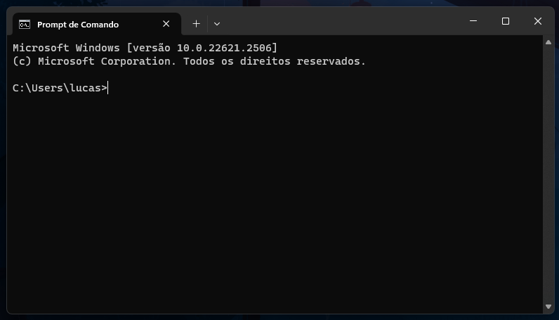 Iniciando com o Terminal do Windows