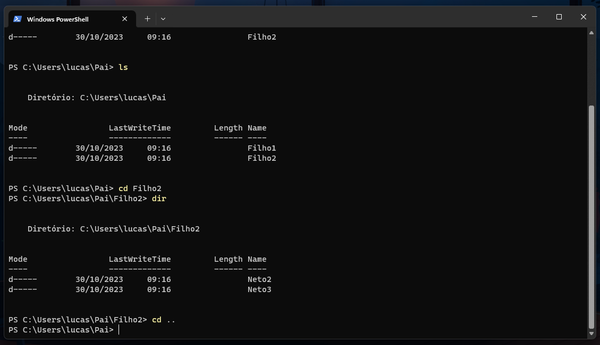 Iniciando com o Terminal do Windows