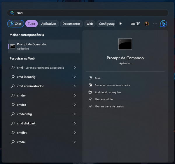 Iniciando com o Terminal do Windows